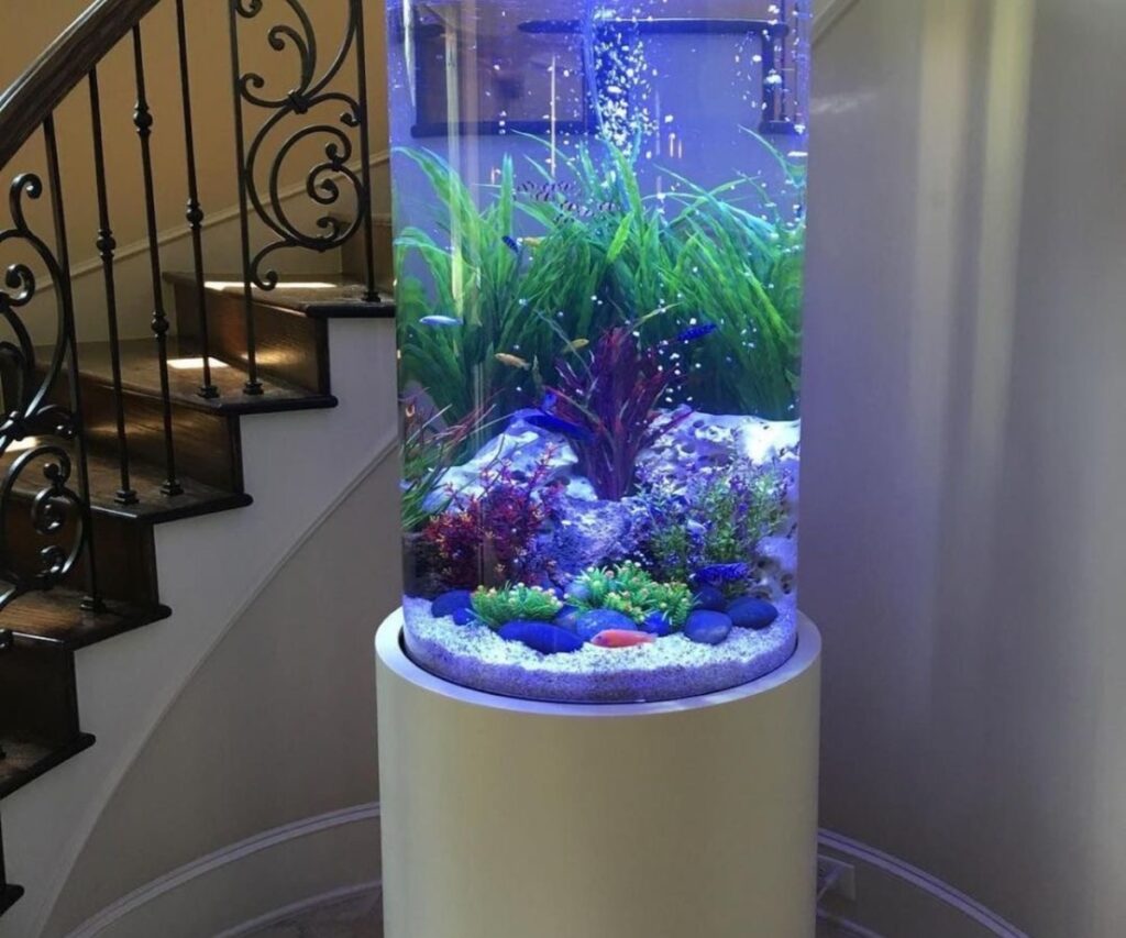 23 Living Room Fish Tank Concepts for a Modern Aquatic Twist - Homa Decor